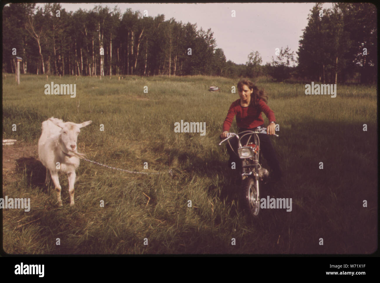 Ann schindler on motorbike hi-res stock photography and images - Alamy