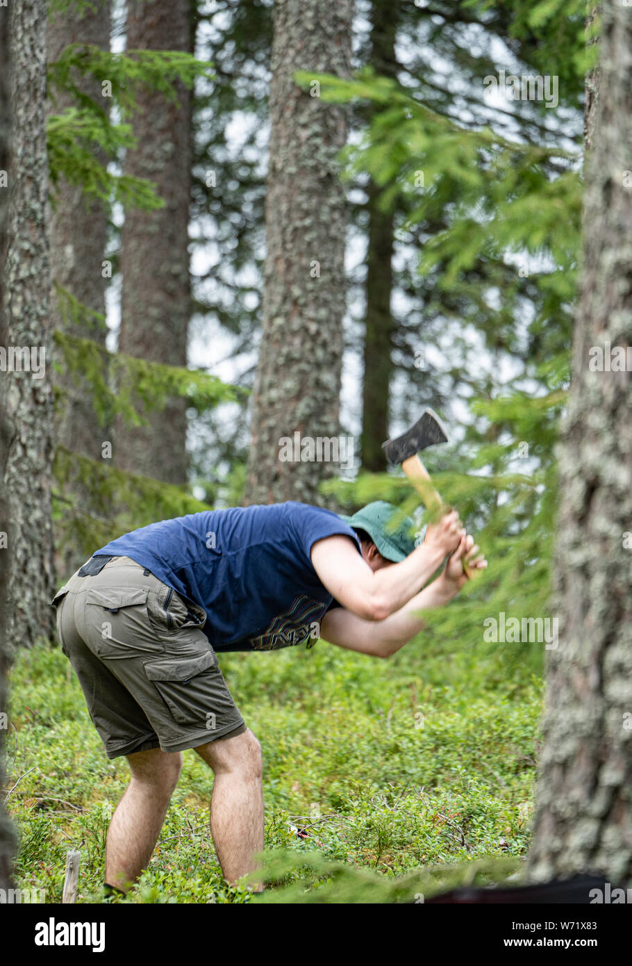 A man chopping a log / tree in a forest Stock Photo - Alamy
