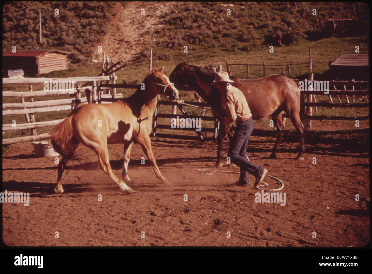 AT THE OLDLANDS' SUMMER COW CAMP, 15 MILES SOUTH OF THEIR PICEANCE ...