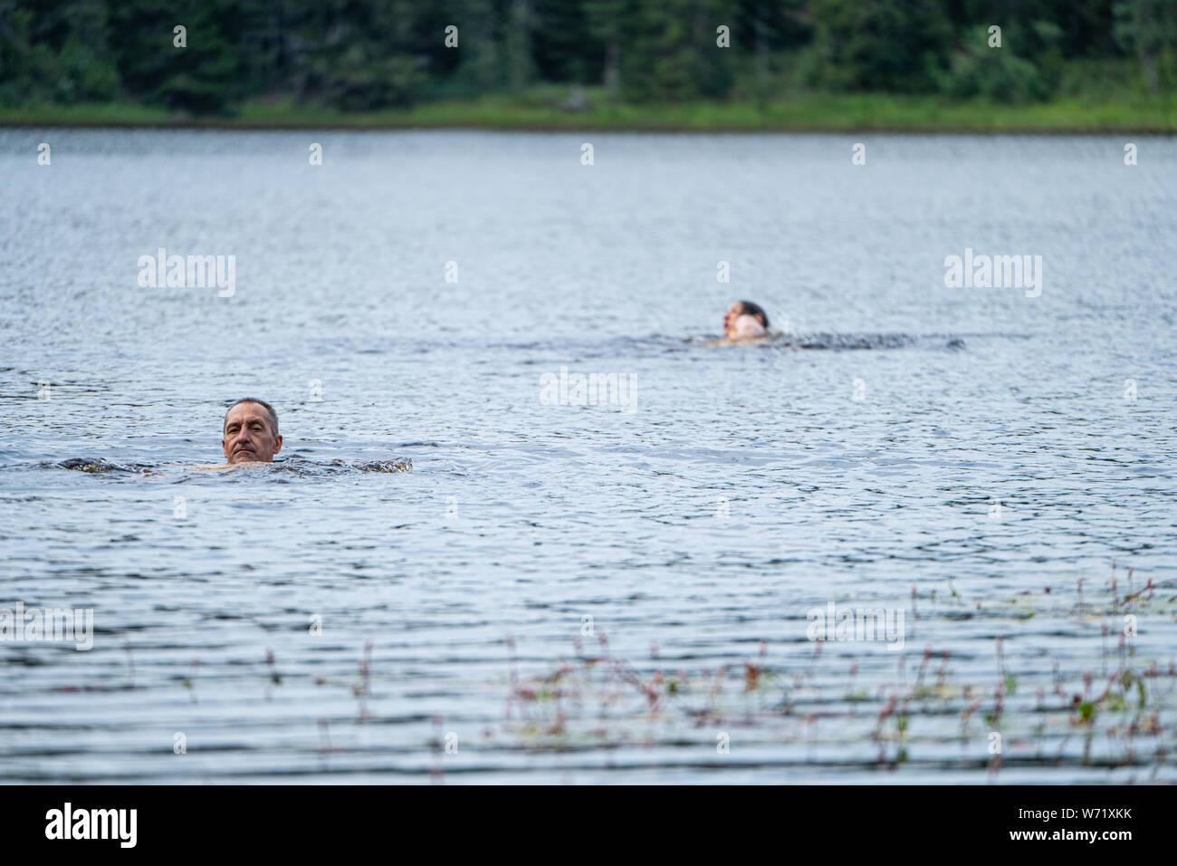 People wild swimming in the Black River (Svartälven), Sweden Stock ...
