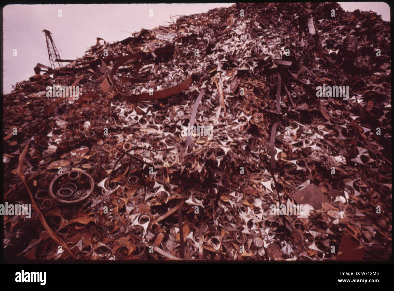 AUTO SCRAP YARD Stock Photo - Alamy