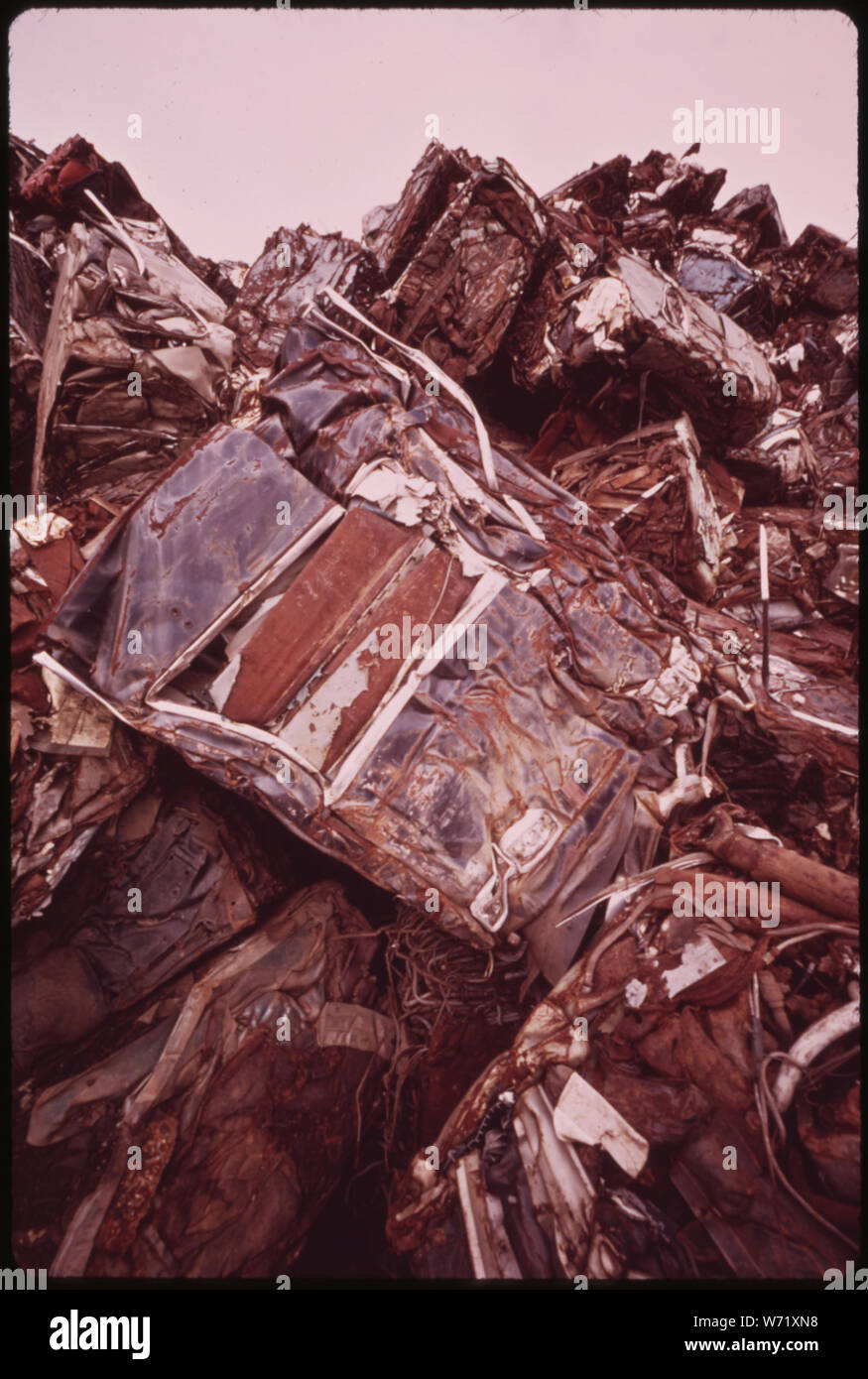 AUTO SCRAP YARD Stock Photo - Alamy