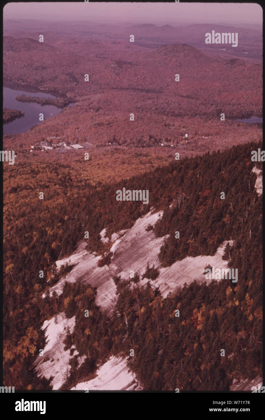 BALSAM FIRS AND YELLOW PAPER BIRCH GROW AGAINST ROCK SLIDES WITH ...