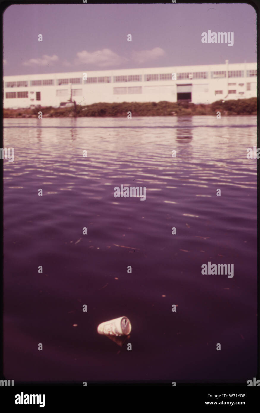 BEER CAN FLOATING ON DUWAMISH RIVER Stock Photo - Alamy