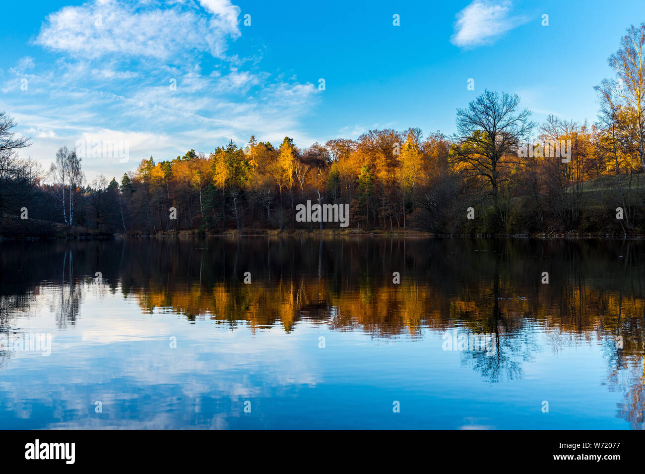 Colorful autumnal trees at lakeshore reflecting in surface of lake ...