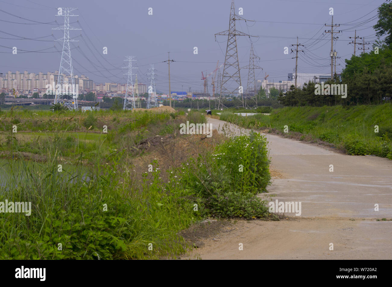 rural road with rice field and power line towers Stock Photo - Alamy