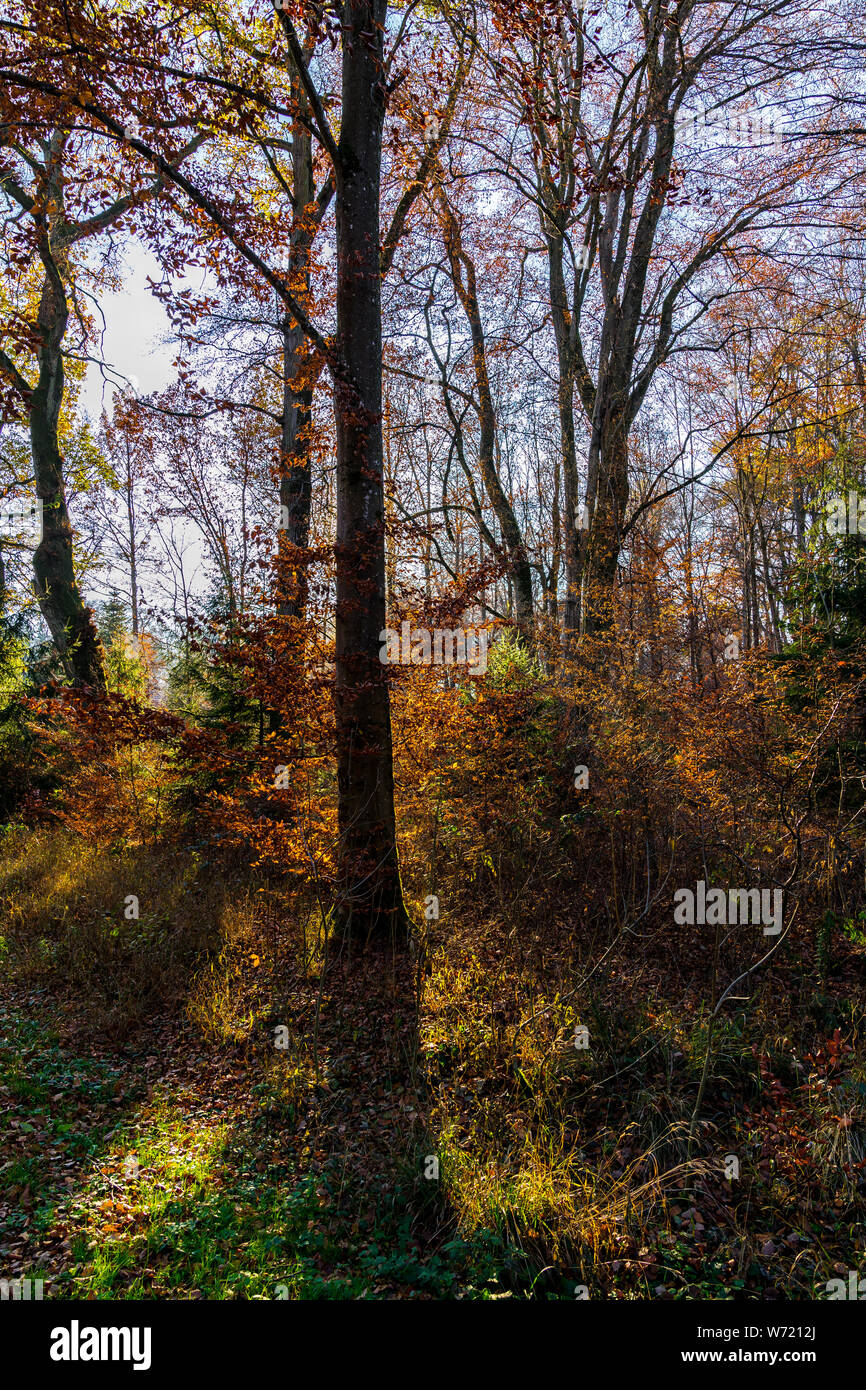 Magic sun hi-res stock photography and images - Alamy