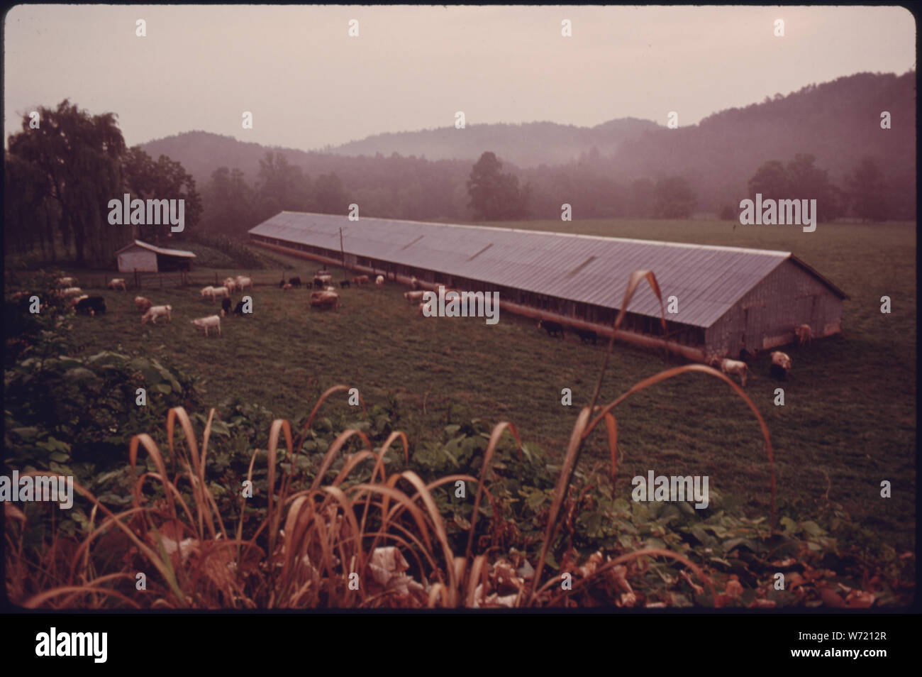 Project 775 hi-res stock photography and images - Alamy