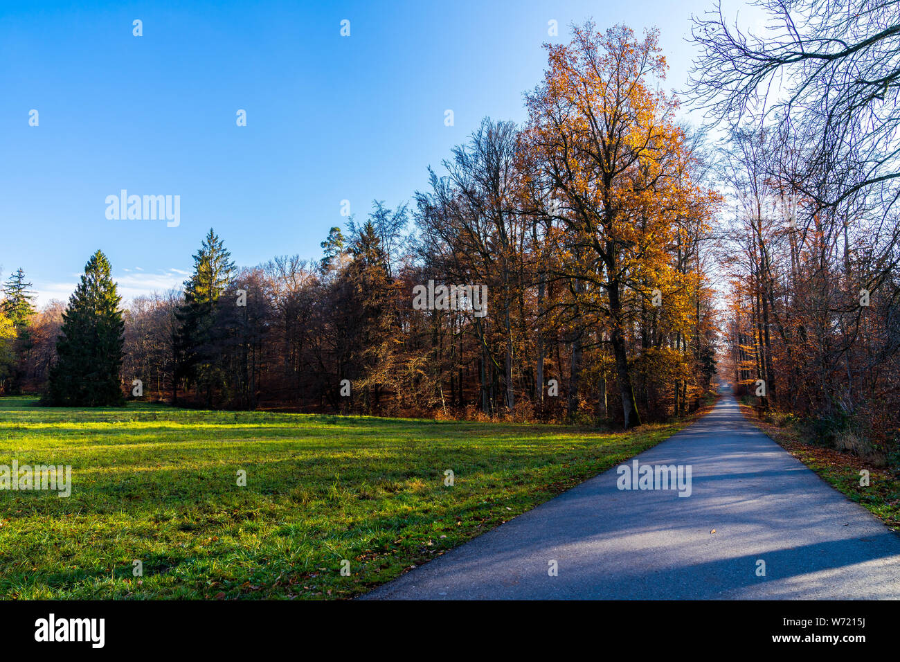 Walking alongside the road hi-res stock photography and images - Alamy