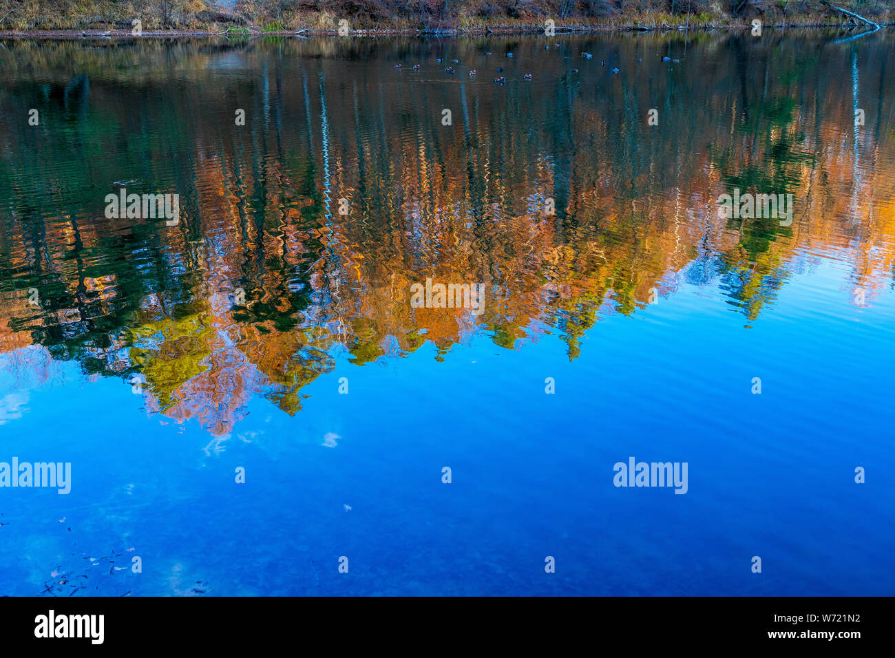 Reflection on the lake water hi-res stock photography and images - Alamy