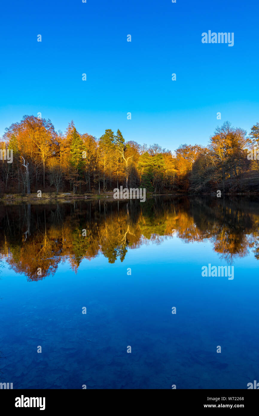 Glassy lake water surface reflecting perfect colorful autumn landscape ...