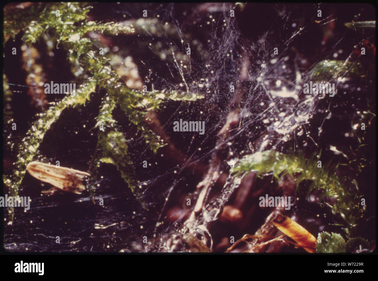 Absorption of moisture hi-res stock photography and images - Alamy