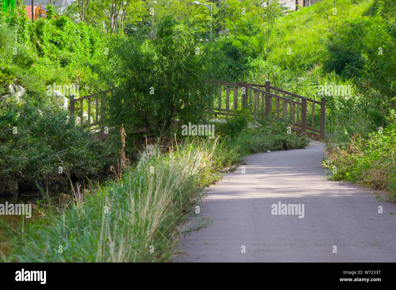 road beside stream with bridge Stock Photo - Alamy