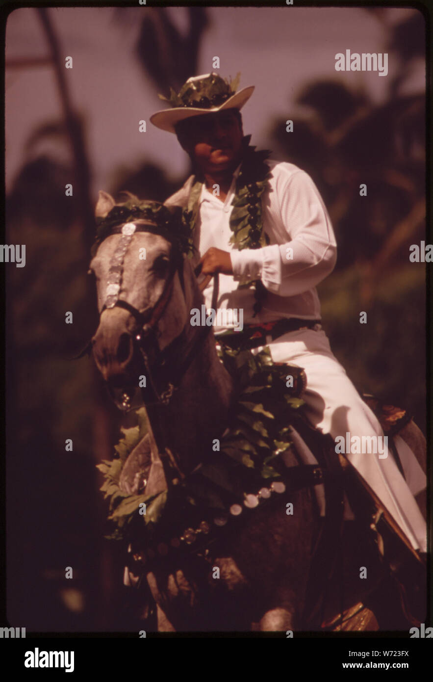 COSTUMED FOR ALOHA DAY PARADE ONE OF MANY FESTIVITIES DURING ANNUAL ...