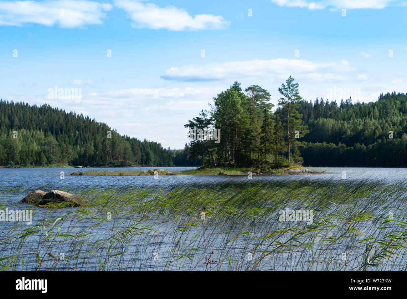 Sweden forest lake hi-res stock photography and images - Alamy