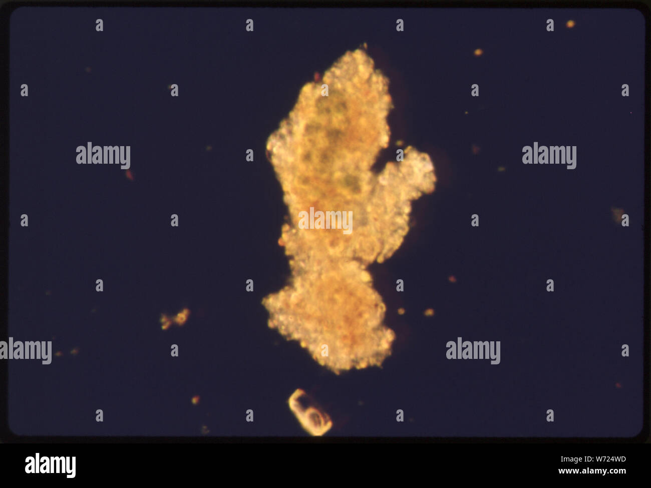 Heavy particle hi-res stock photography and images - Alamy