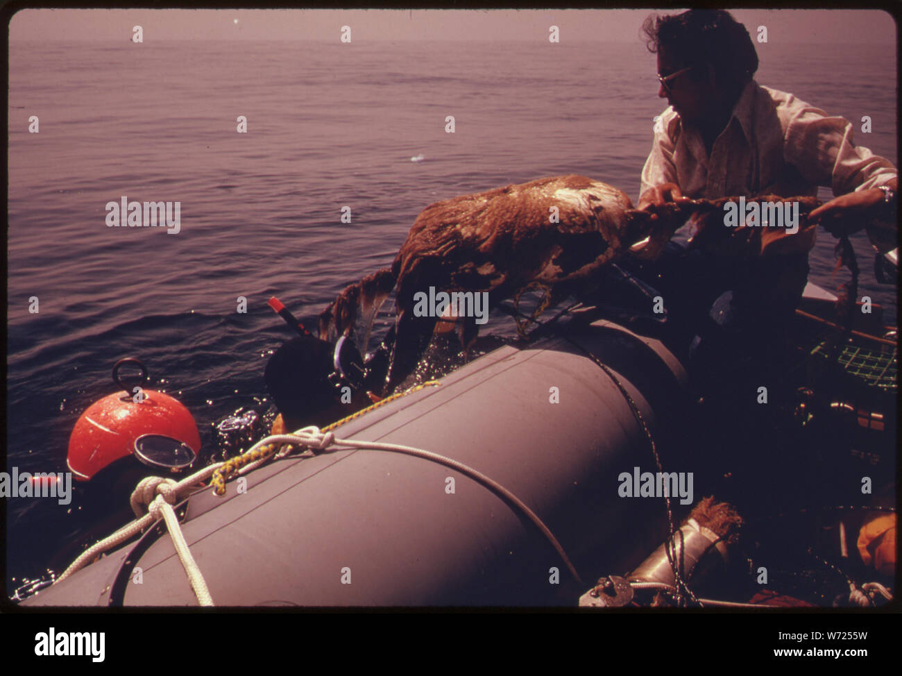 Sludge ship hi-res stock photography and images - Alamy