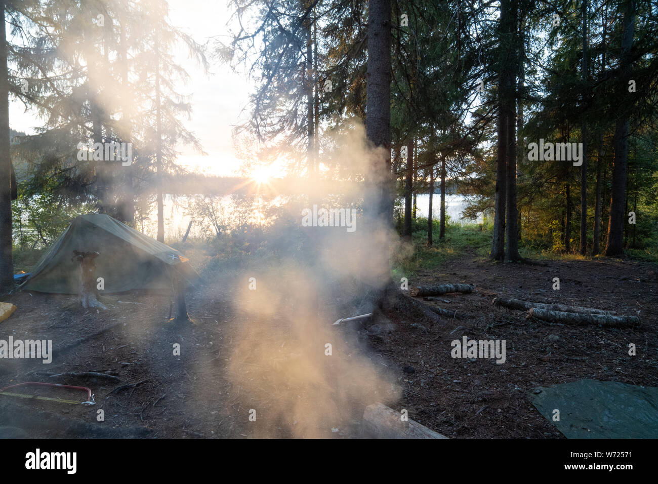 A smoking camp fire in a forest Stock Photo - Alamy