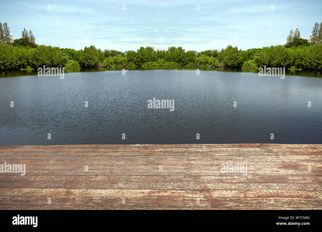 water pond of lake wood shore landscape for relax nature background ...