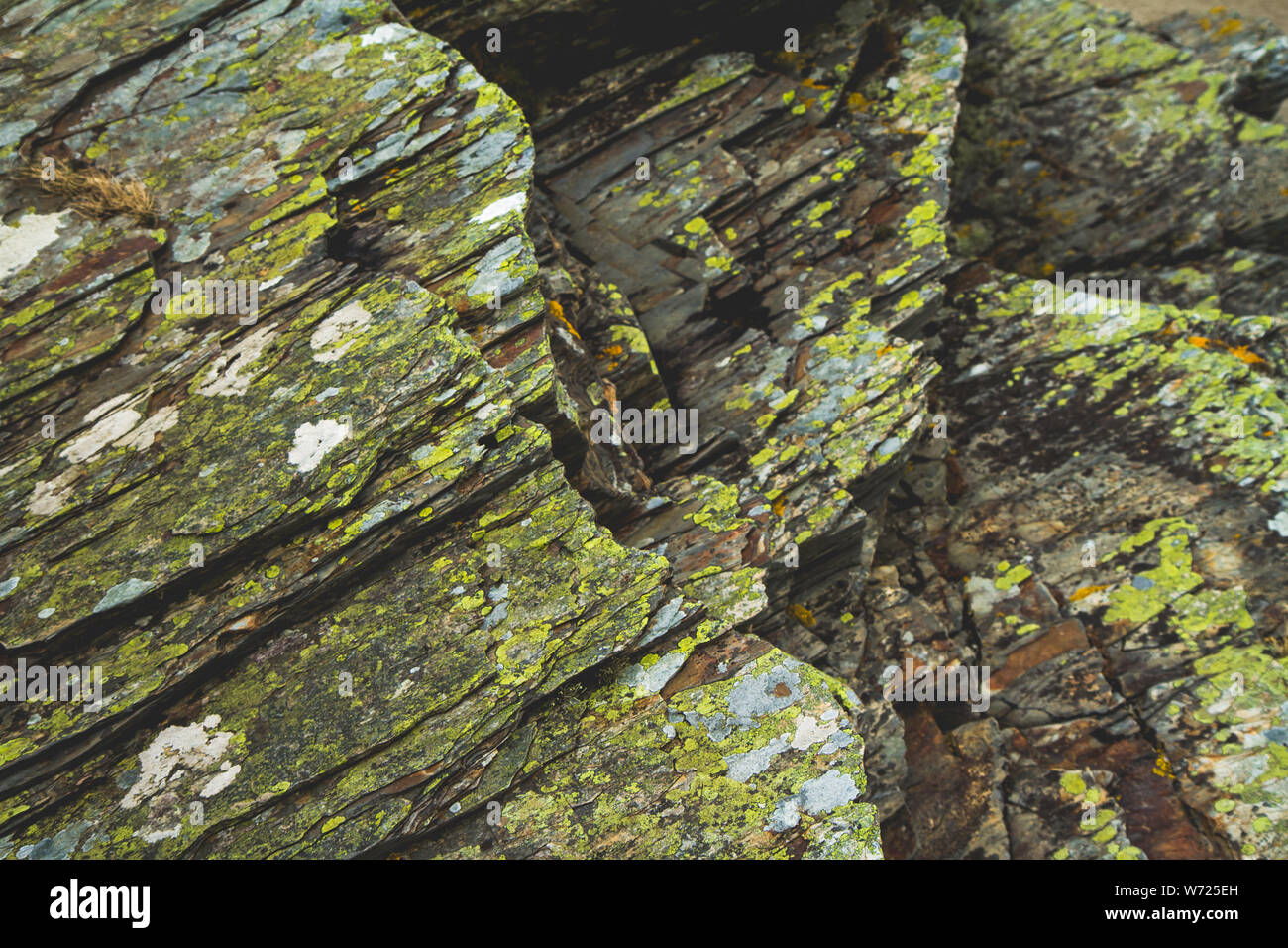 Close up texture of Rock formations with lichen Stock Photo - Alamy