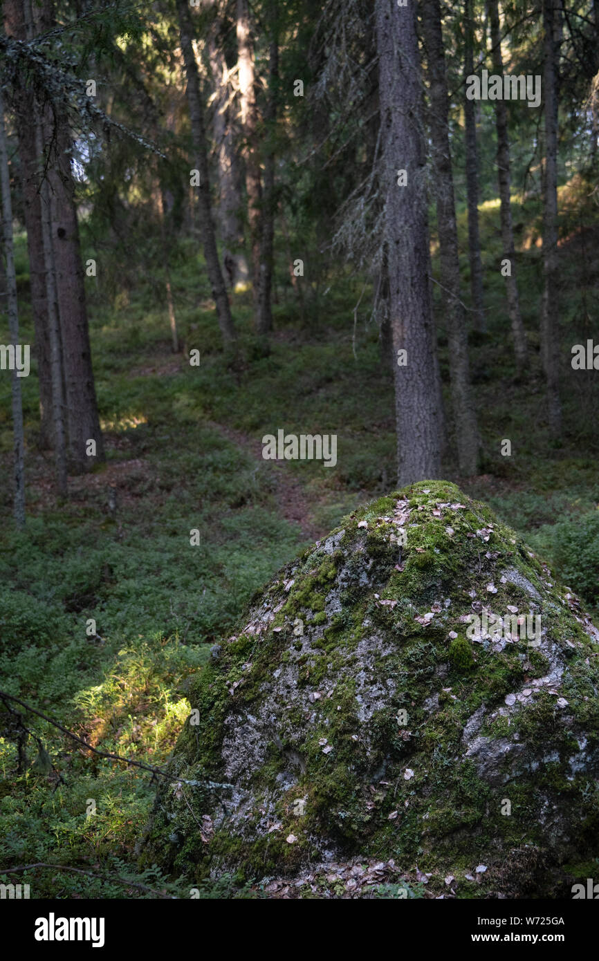 Sweden varmland lake hi-res stock photography and images - Alamy