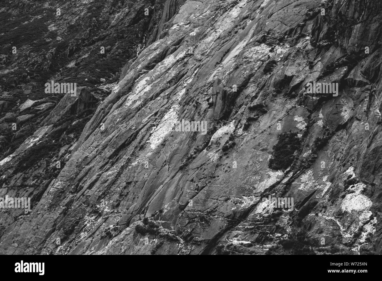 Natural ramble Black and White Stock Photos & Images - Alamy