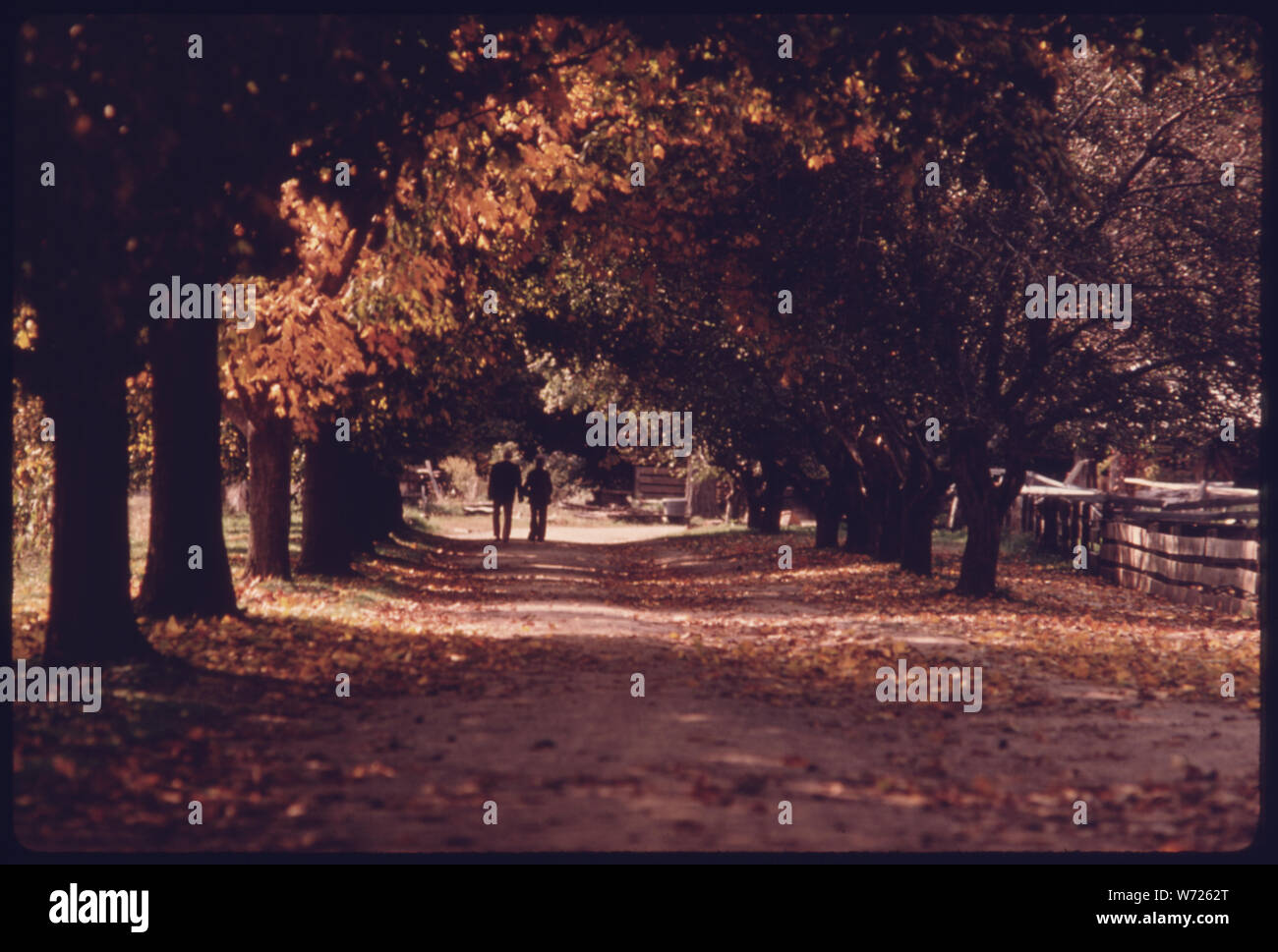 19th century farm life hi-res stock photography and images - Alamy