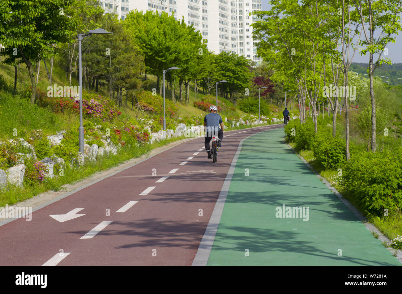 bike road with trees Stock Photo - Alamy