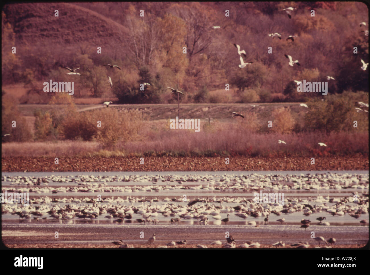 Major flyway hi-res stock photography and images - Alamy