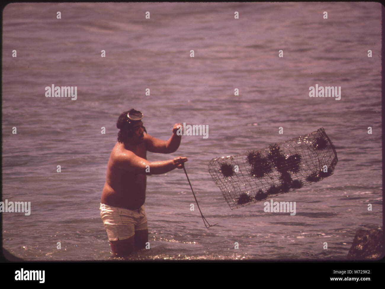 FRUITS OF THE SEA Stock Photo - Alamy