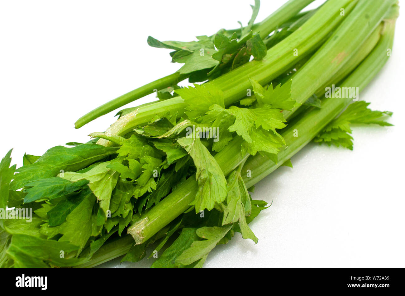 Sliced celery stalk on hi-res stock photography and images - Alamy