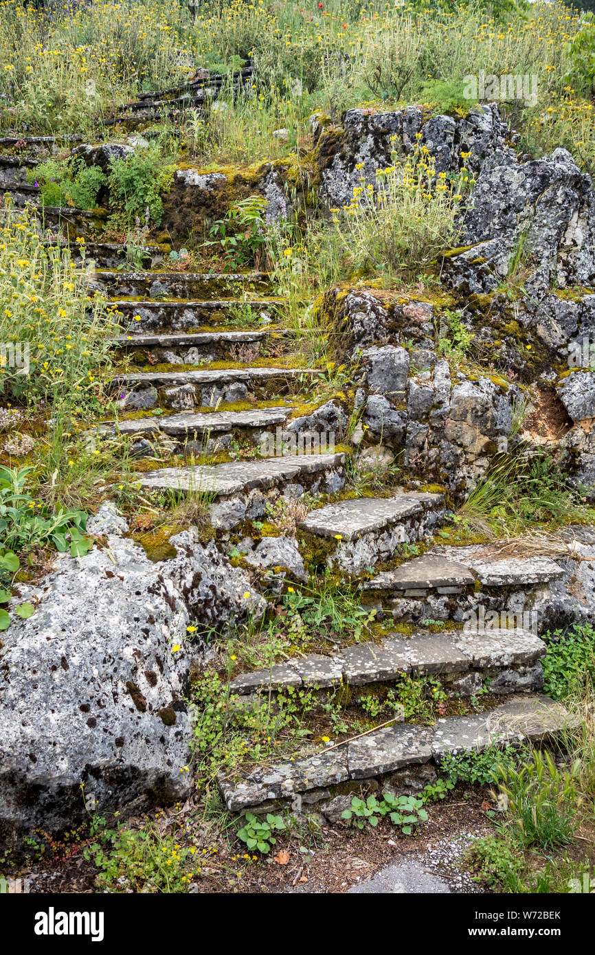 Amazing vintage stone curvy stairs overgrown with wild blossoming herbs ...