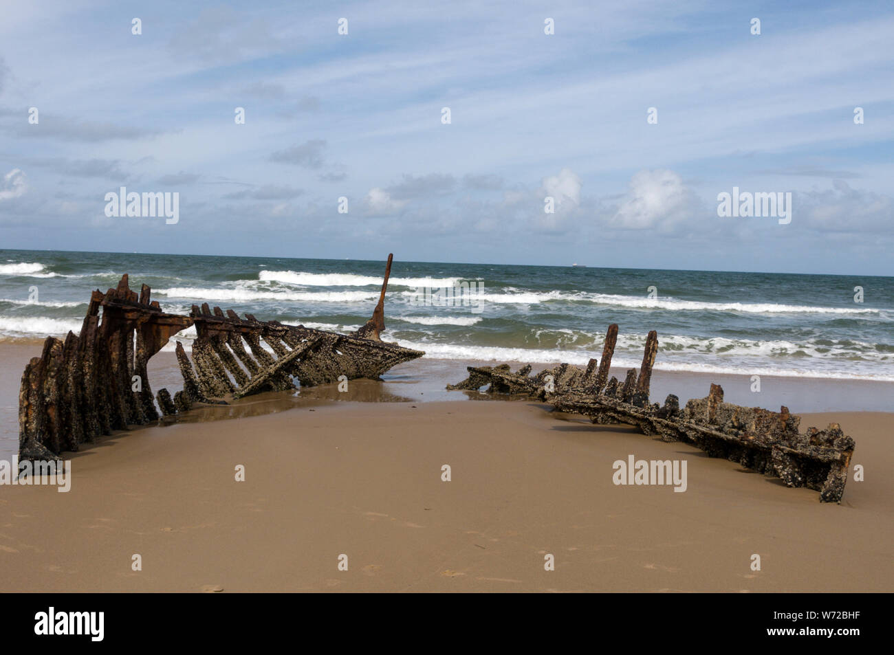 Dicky High Resolution Stock Photography and Images - Alamy