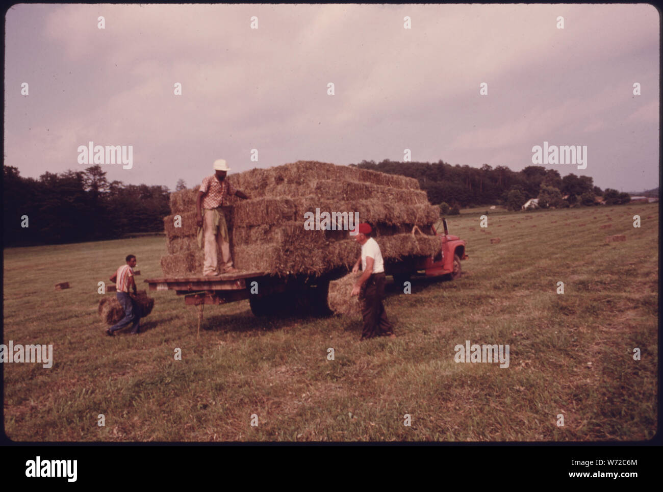 Cherokee land gold hi-res stock photography and images - Alamy