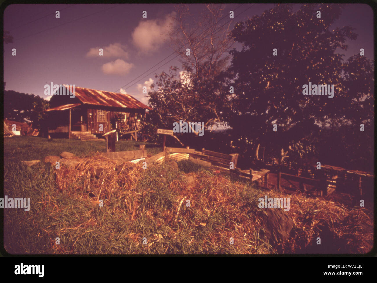 HOUSE IN RURAL DISTRICT ALONG HIGHWAY 36 NEAR HANA. RURAL DISTRICTS ARE ...
