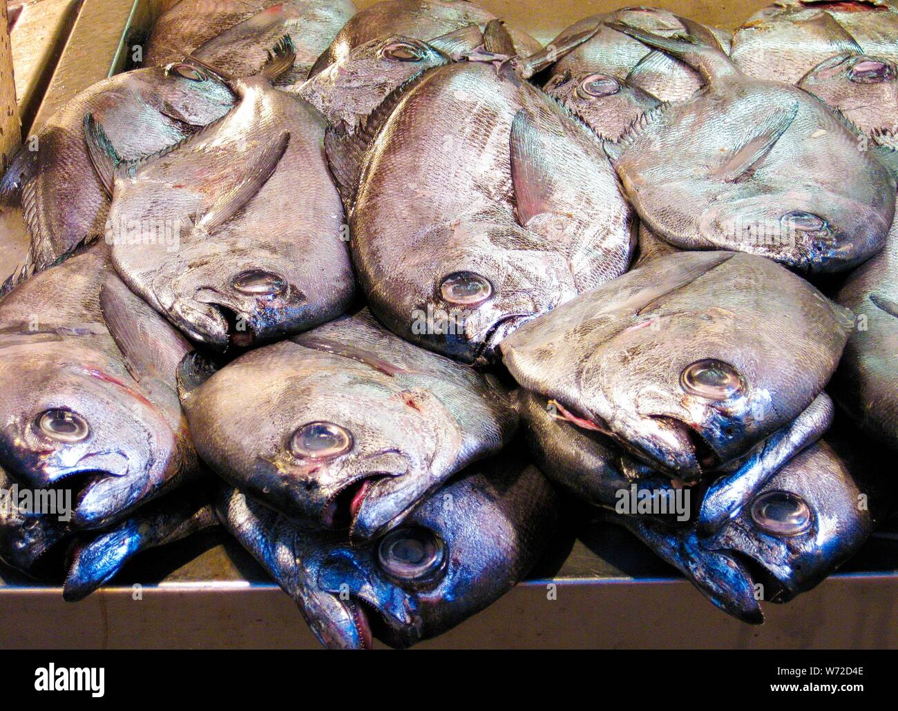 Reineata hi-res stock photography and images - Alamy