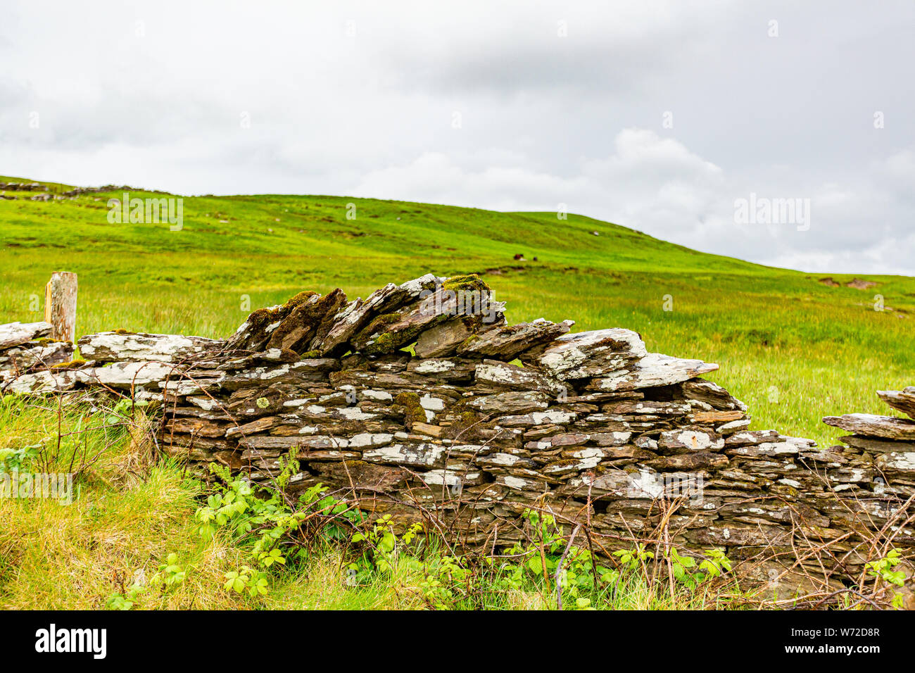 Beautiful view of a natural limestone fence in ruins in the Irish ...