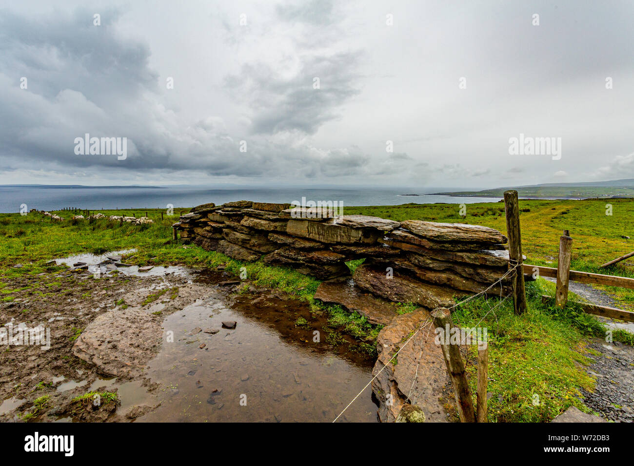 Small limestone wall between the Irish countryside in of the coastal ...