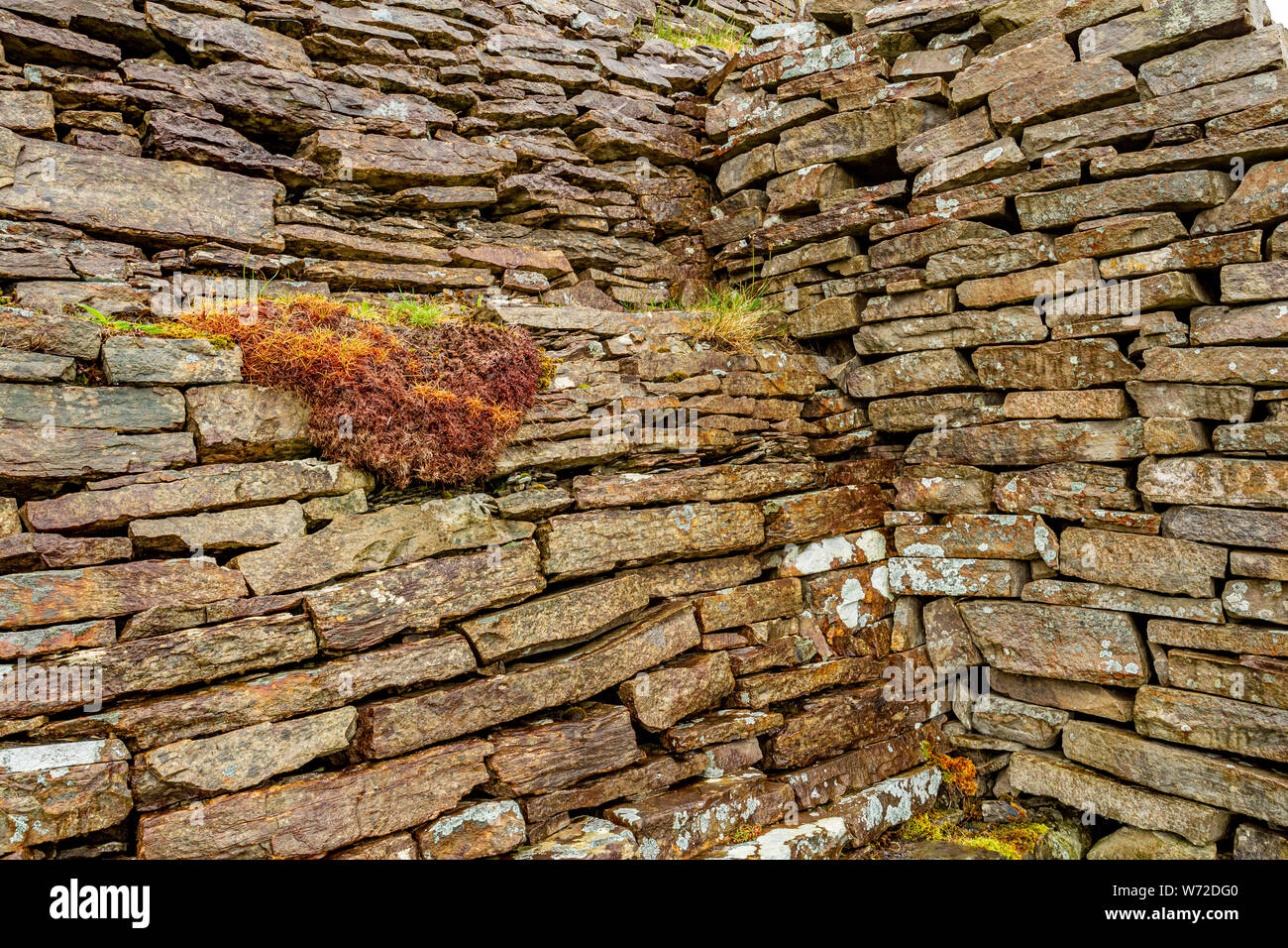 Corner of two natural limestone walls with plants between the stones in ...