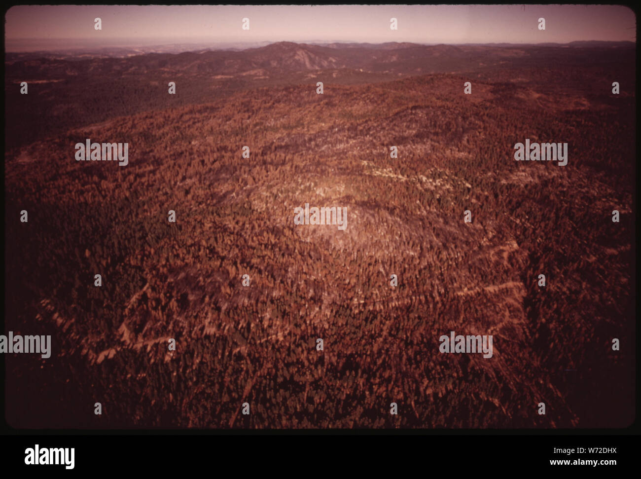 IN AUGUST, 1973 A MAJOR FOREST FIRE SWEPT THROUGH 17,470 ACRES OF THE ...