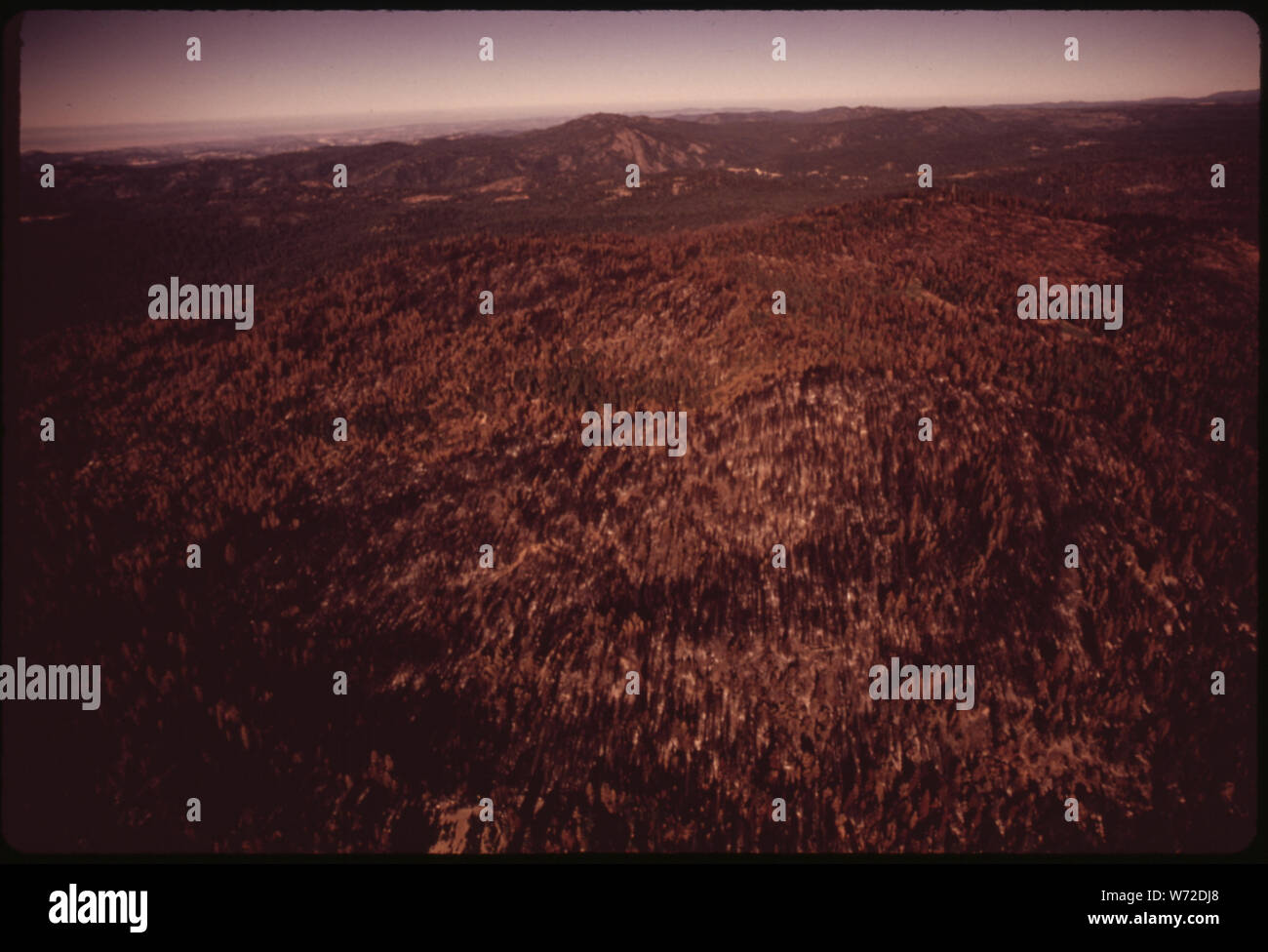 1973 a major forest fire swept through 17 hi-res stock photography and ...