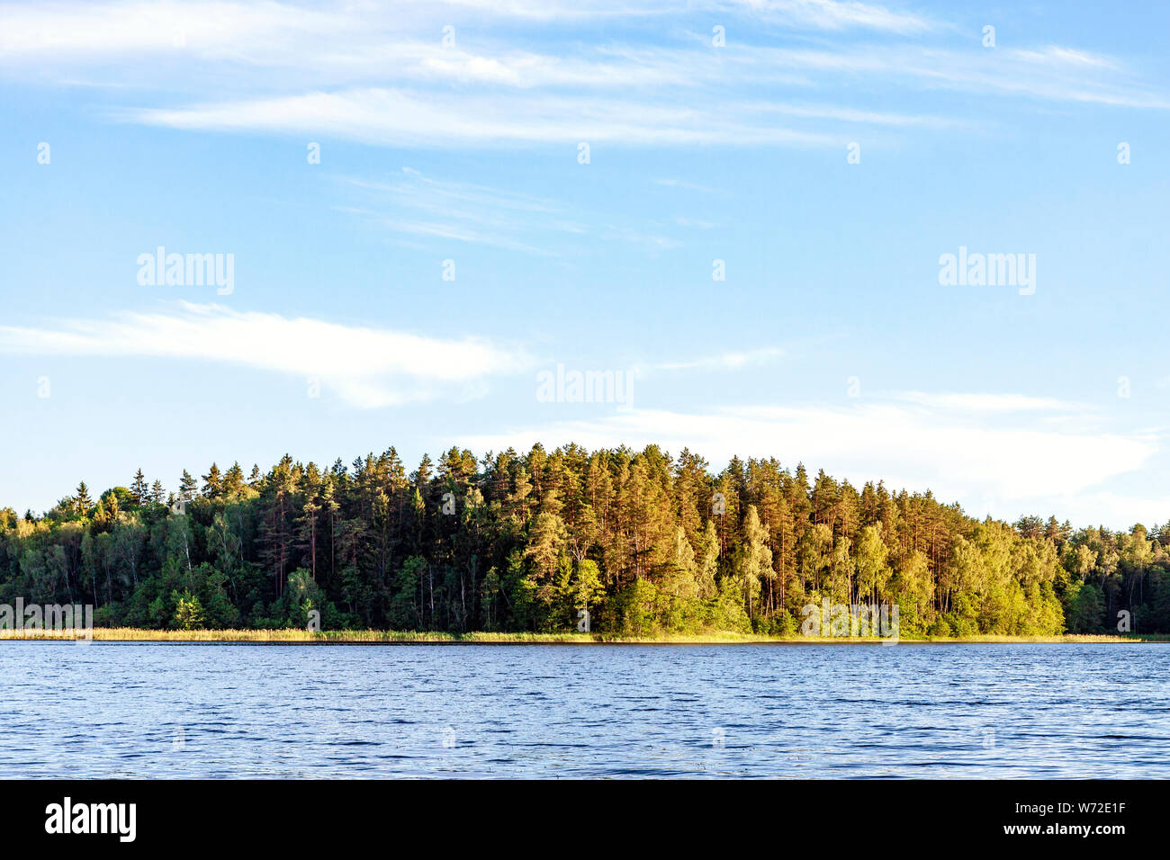 Nature landscape background with calm lake and forest in sunset in ...