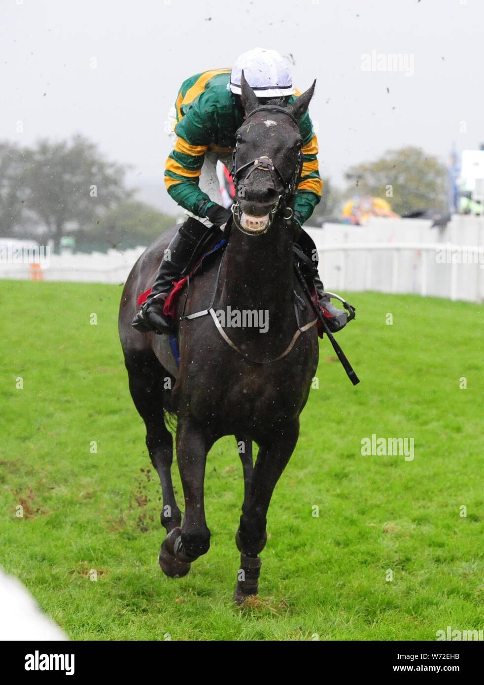 All answers ridden hi-res stock photography and images - Alamy