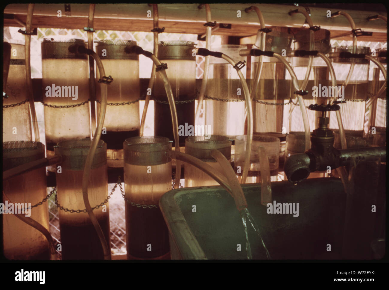 Cui ui fish hi-res stock photography and images - Alamy