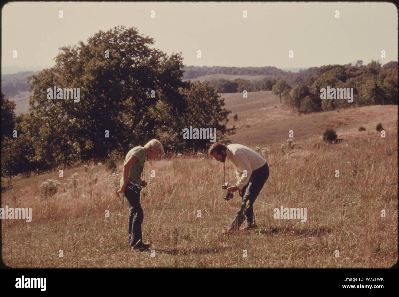 Overgrazed forest hi-res stock photography and images - Alamy