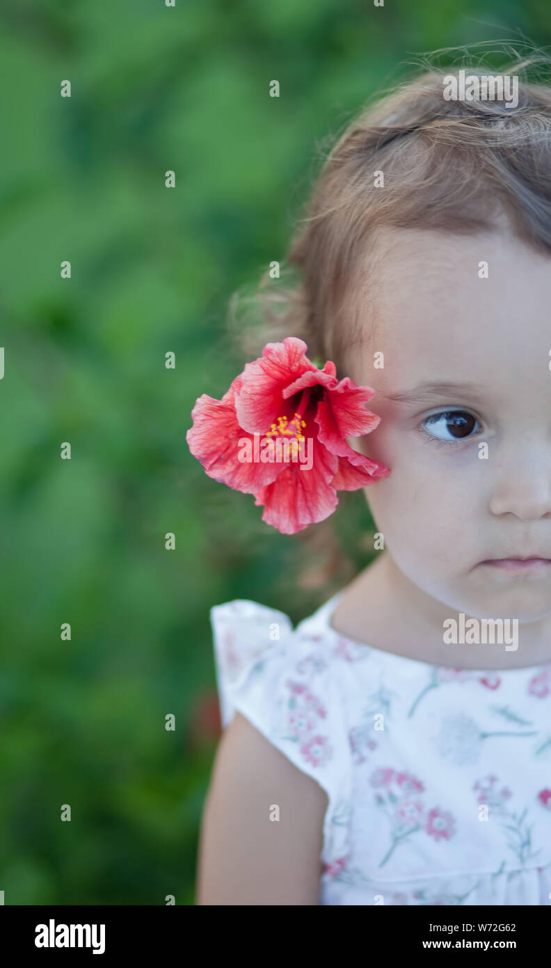 Hibiscus flower behind ear hi-res stock photography and images - Alamy