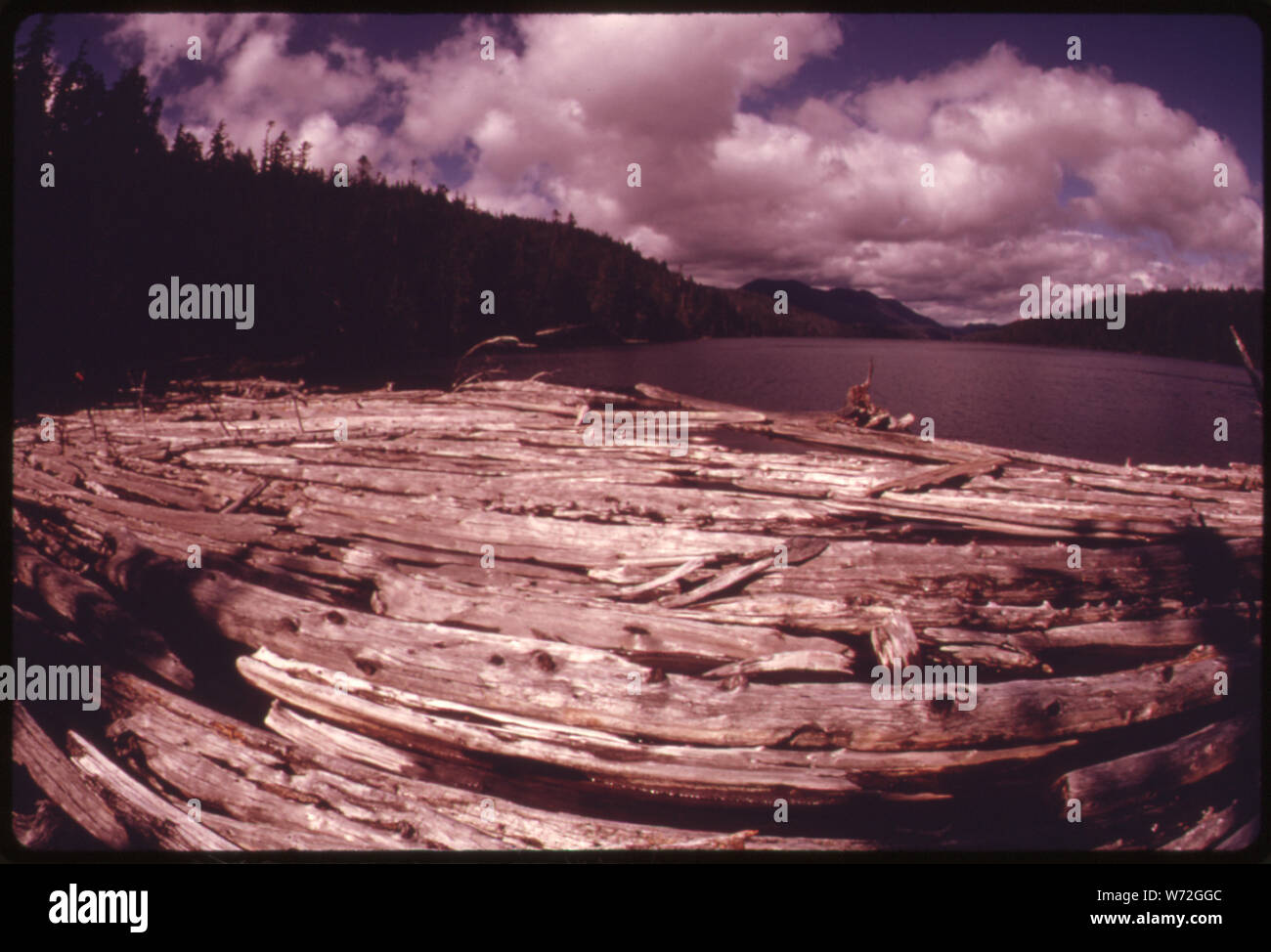 LAKE IN ISH RIVERS COUNTRY OF THE PACIFIC NORTHWEST. NEAR SEATTLE Stock ...