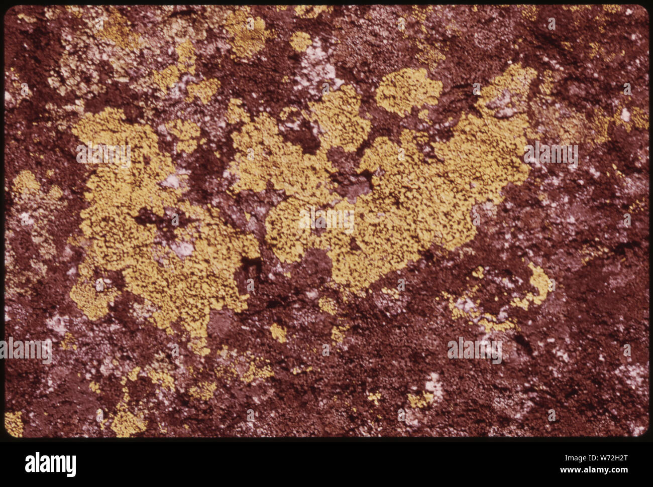 114 feet hi-res stock photography and images - Alamy