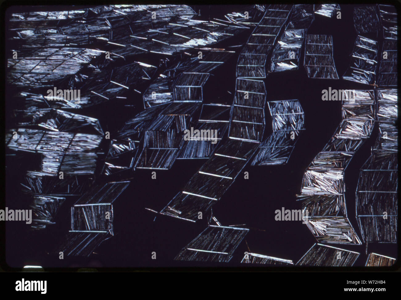 LOG BOOMS IN SOUTHERN PUGET SOUND, WASHINGTON. NEAR SEATTLE Stock Photo ...