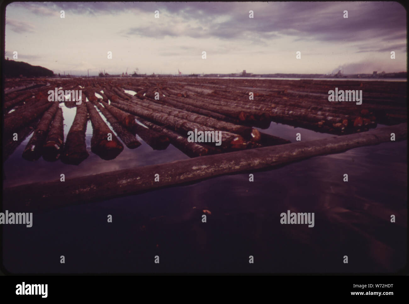 LOGS RAFTED ON COMMENCEMENT BAY Stock Photo - Alamy